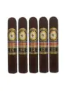 Perdomo | Double Aged 12 Year Vintage MAD - Robusto | Cigar Circus